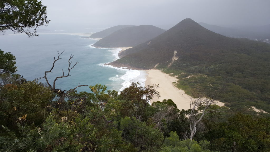 Mount Tomaree im Regen - Smithilicious