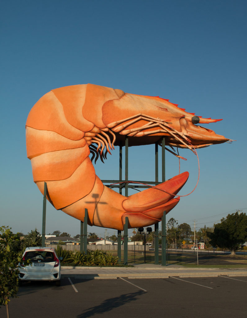 Big Prawn - Ballina - Smithilicious