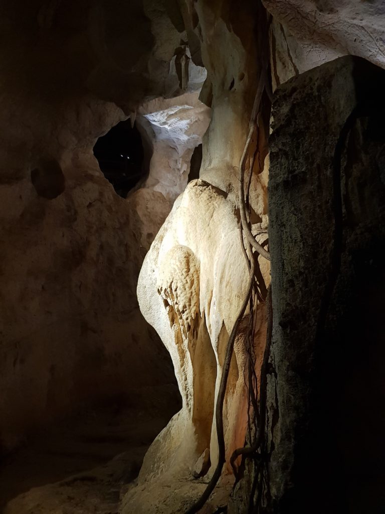 Capricorn Caves - Smithilicious